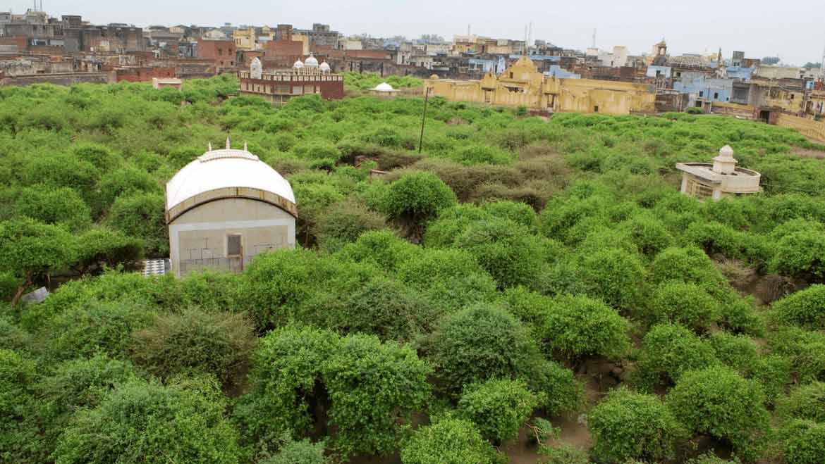 Vrindavan, la cité qui danse dans les pas de Krishna - MAGIK INDIA