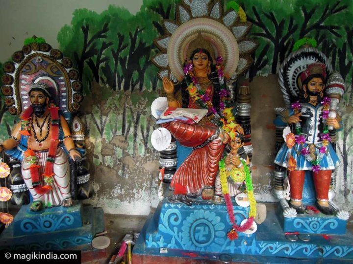 Sundarbans, the largest mangrove forest in the world - MAGIK INDIA