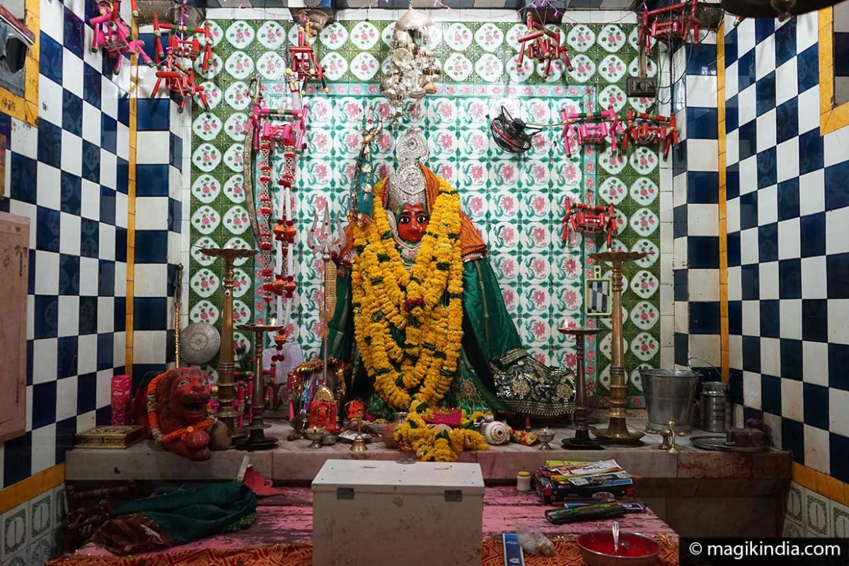 Mahuva, an oasis in Gujarat - MAGIK INDIA