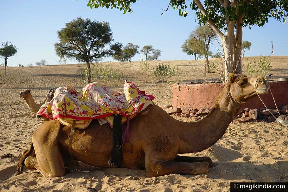 Osian, a caravanserais in Rajasthan - MAGIK INDIA