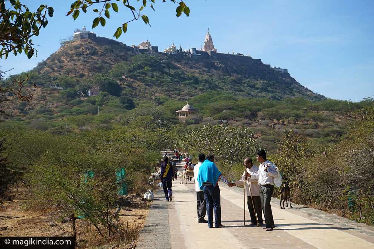 Palitana, the sacred hill of Jains - MAGIK INDIA