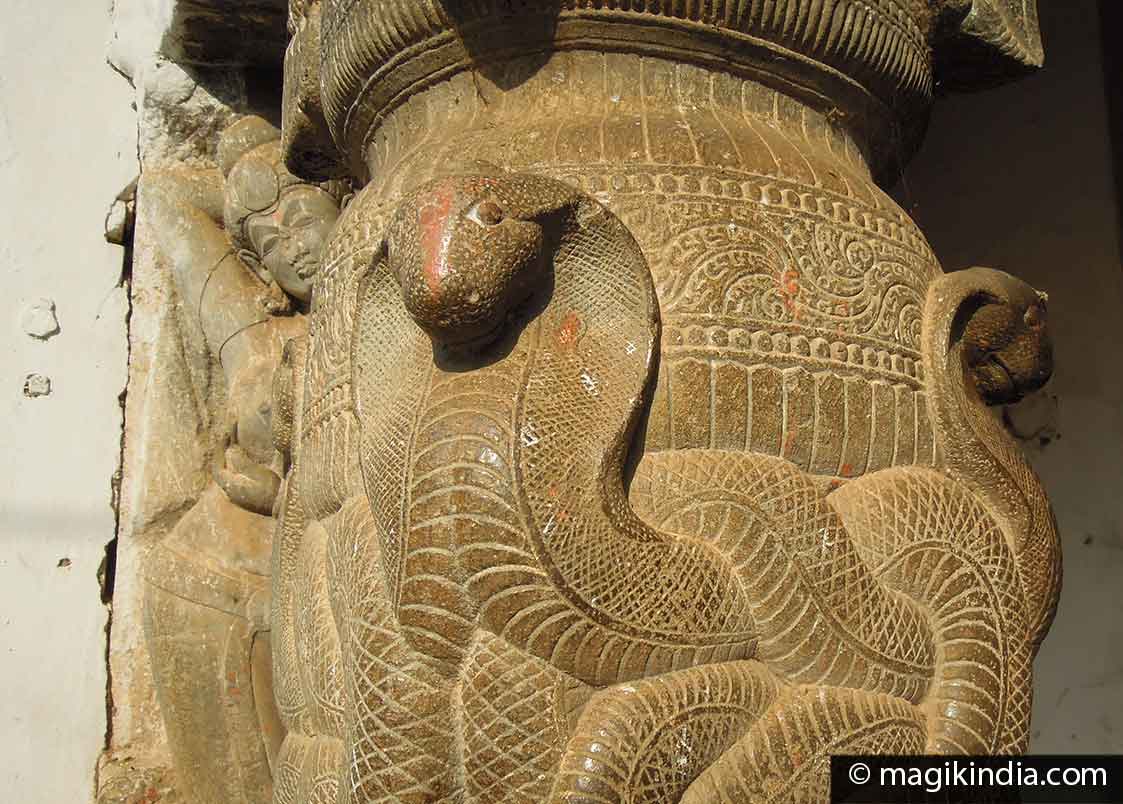 Rajim, the Kumbh Mela of Chhattisgarh - MAGIK INDIA