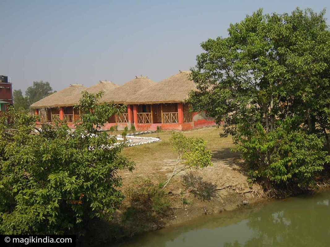 Sundarbans, the largest mangrove forest in the world - MAGIK INDIA