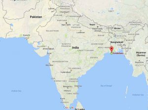 Sundarbans, the largest mangrove forest in the world - MAGIK INDIA