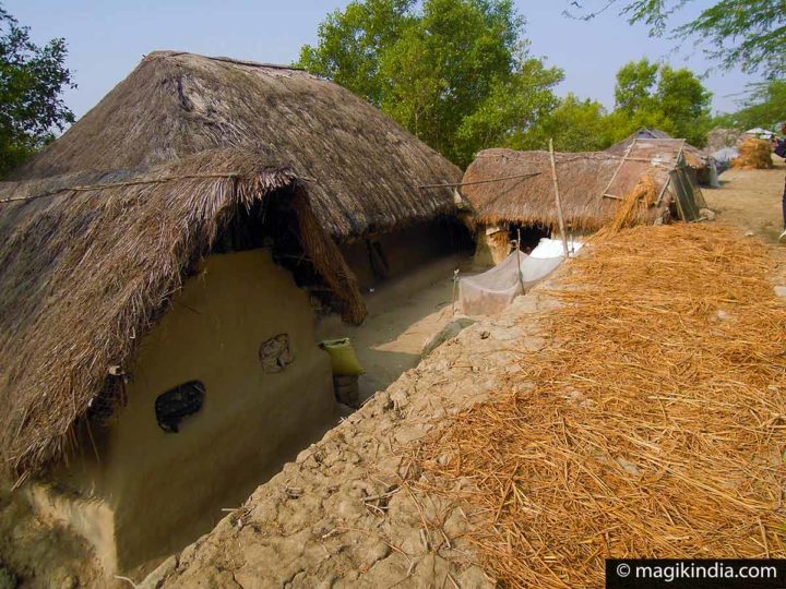 Sundarbans, the largest mangrove forest in the world - MAGIK INDIA