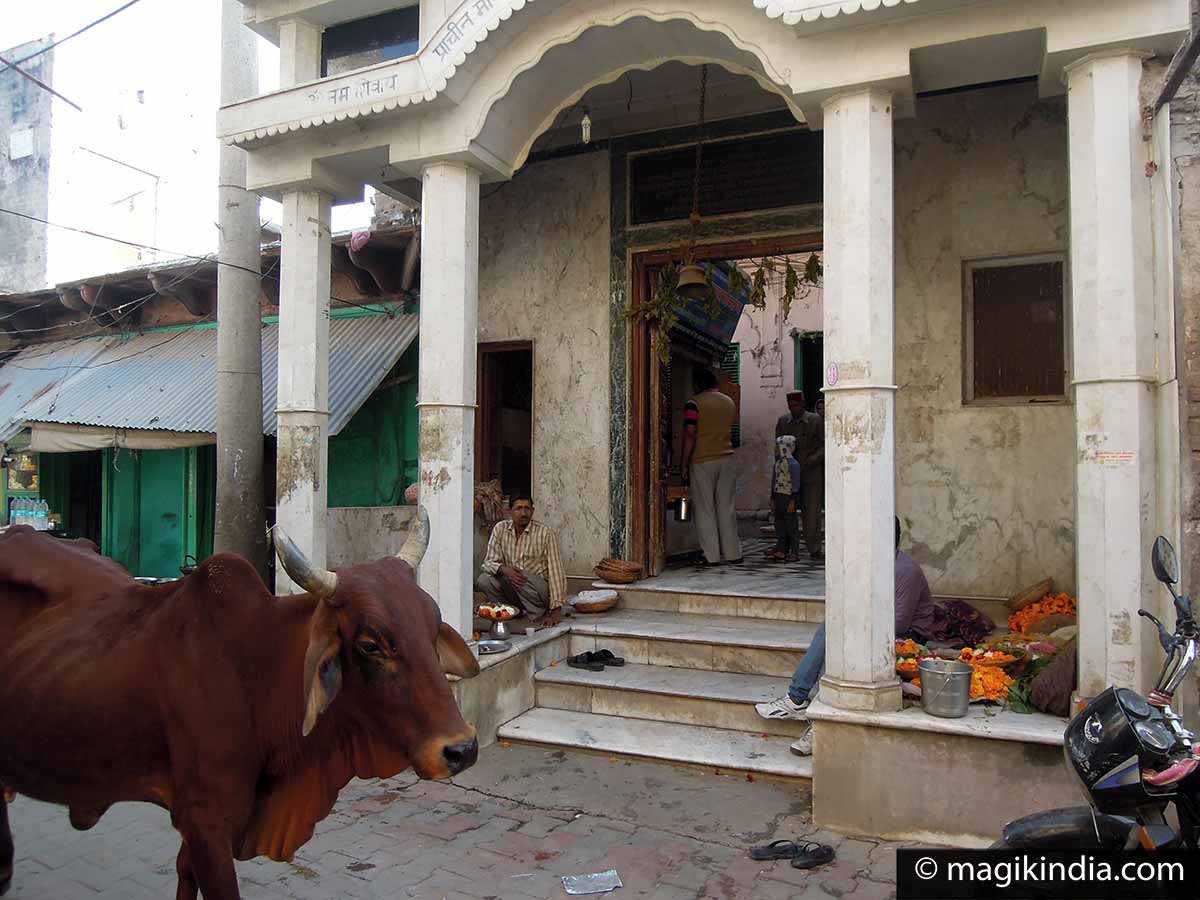 Vrindavan, la cité qui danse dans les pas de Krishna - MAGIK INDIA