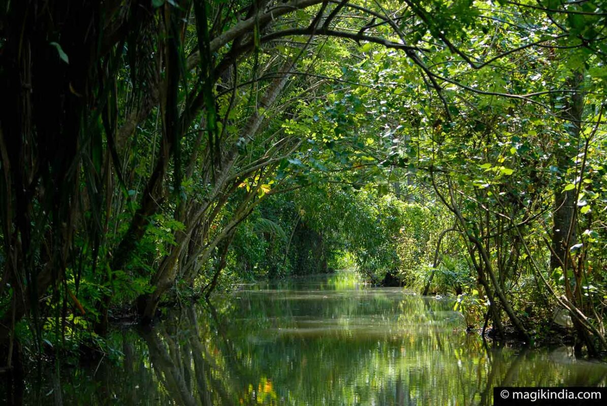 Thiruvananthapuram (Trivandrum), capital of Kerala - MAGIK INDIA