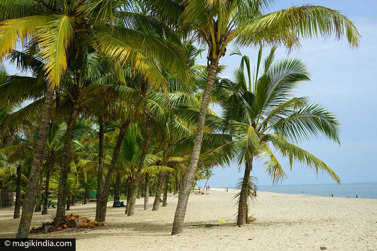 Alappuzha (Alleppey) and its romantic backwaters - MAGIK INDIA