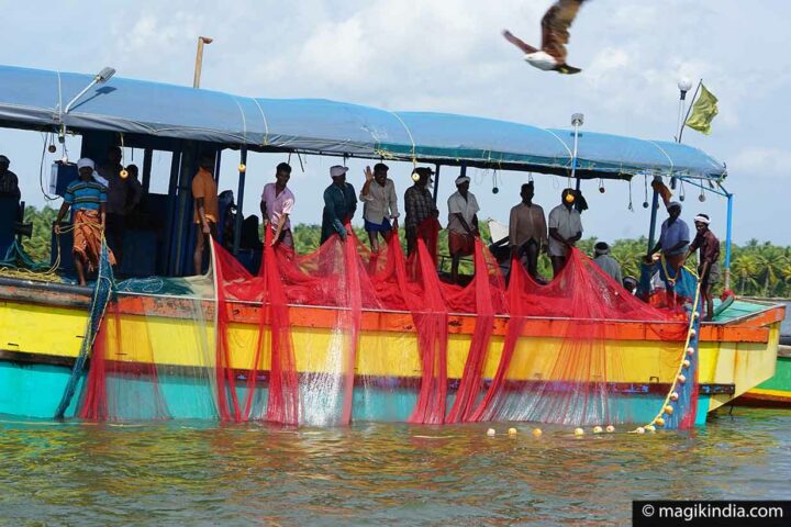 Alappuzha (Alleppey) and its romantic backwaters - MAGIK INDIA