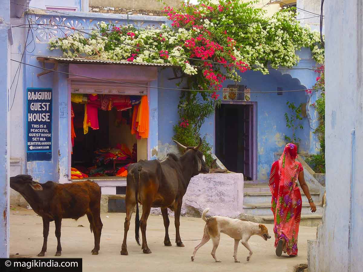 Pushkar, the abode of lord Brahma - MAGIK INDIA