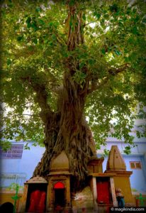 Varanasi (Bénarès), capitale spirituelle de l'Inde - MAGIK INDIA