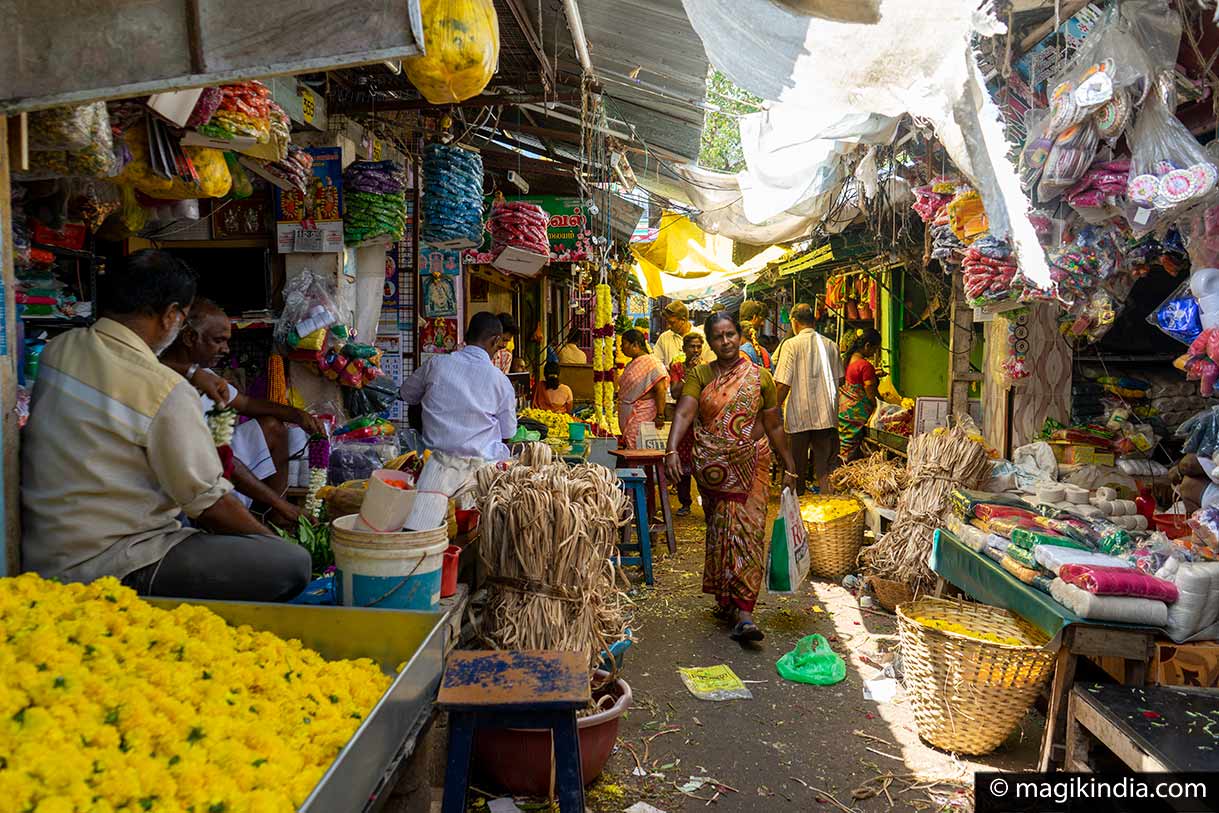 Puducherry, a relaxing and spiritual stop - MAGIK INDIA