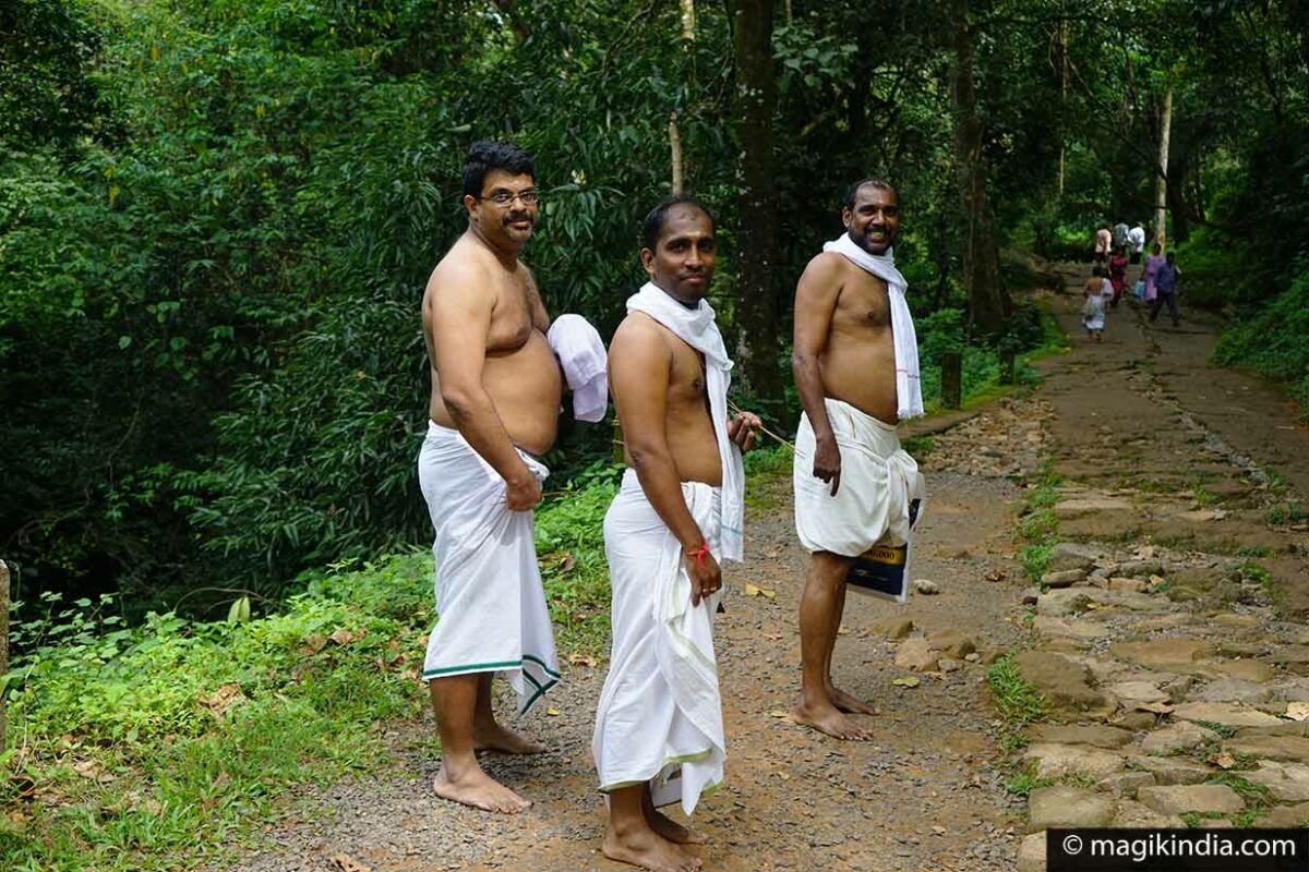 Wayanad, the green paradise of Kerala - MAGIK INDIA