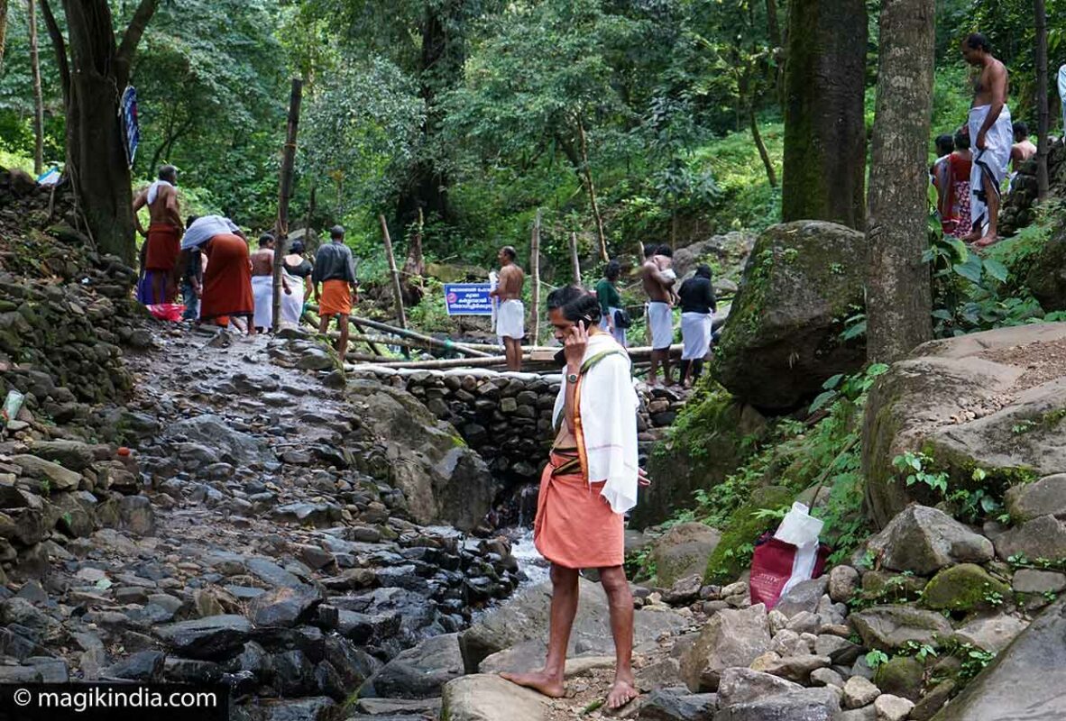 Wayanad, the green paradise of Kerala - MAGIK INDIA