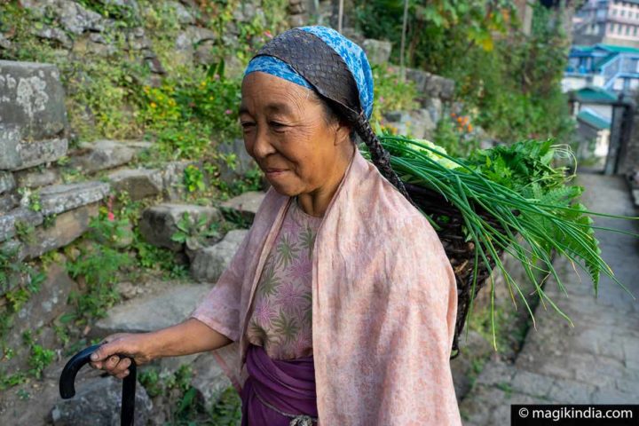 Khonoma, the green village of Nagaland - MAGIK INDIA