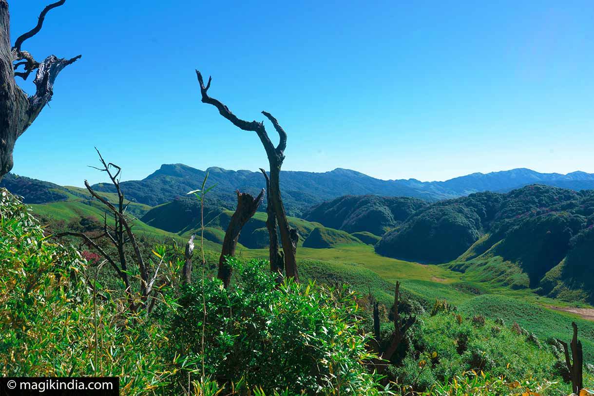 Khonoma, the green village of Nagaland - MAGIK INDIA