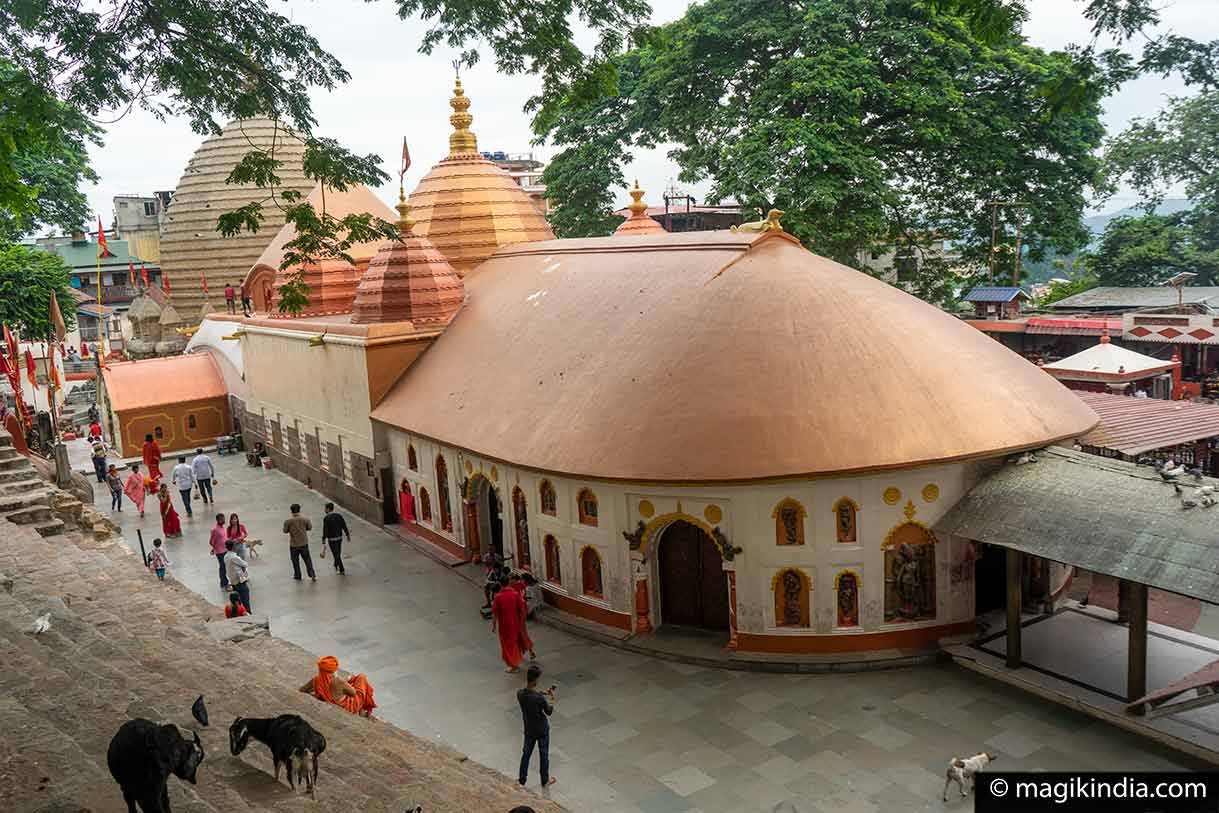 Assam, la septième sœur du nord-est de l'Inde - MAGIK INDIA