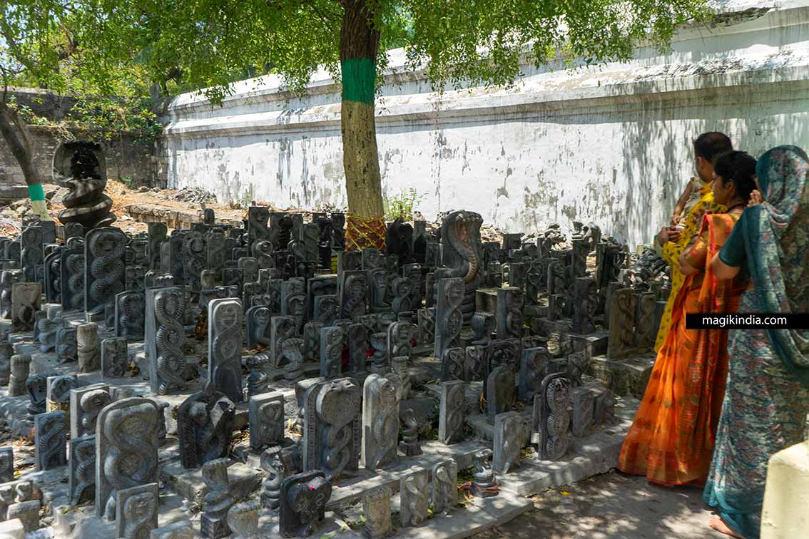 Rameshwaram, l'île légendaire du Tamil Nadu - MAGIK INDIA