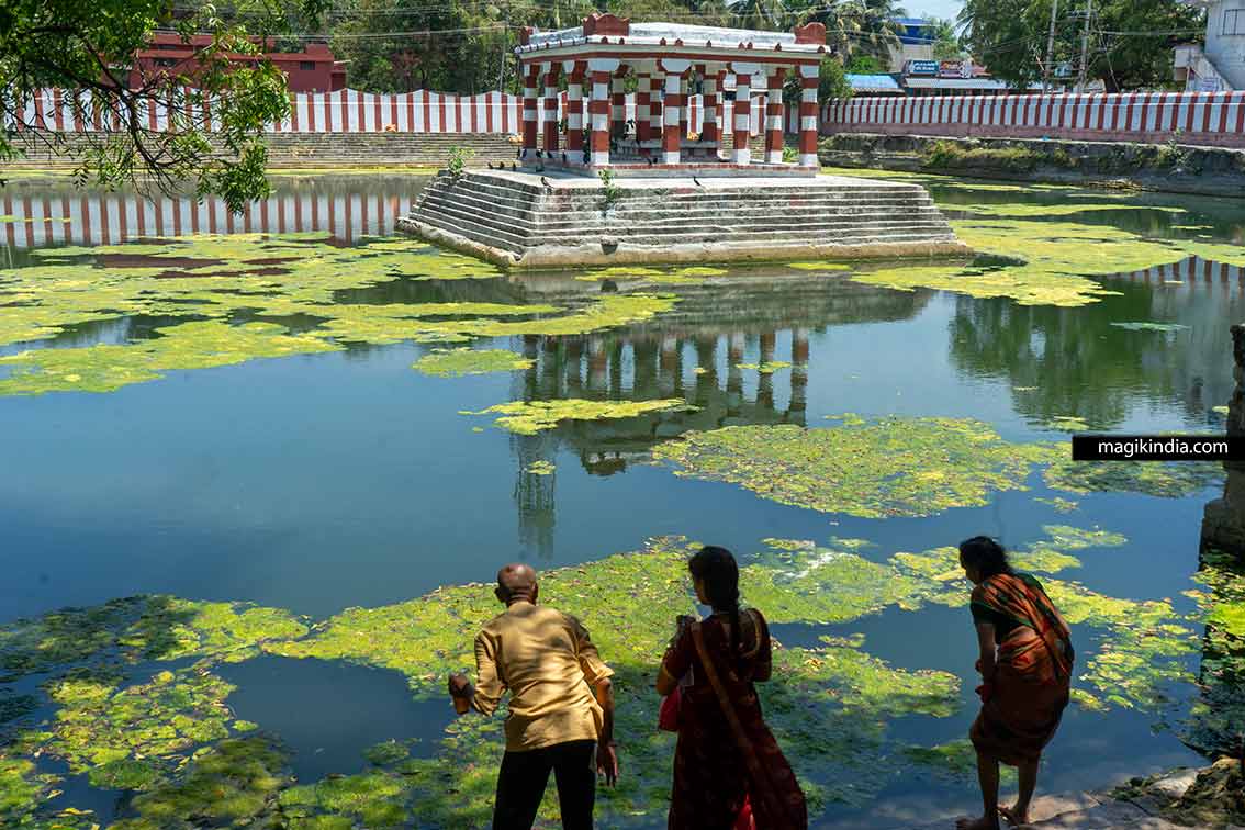 Rameshwaram, l'île légendaire du Tamil Nadu - MAGIK INDIA