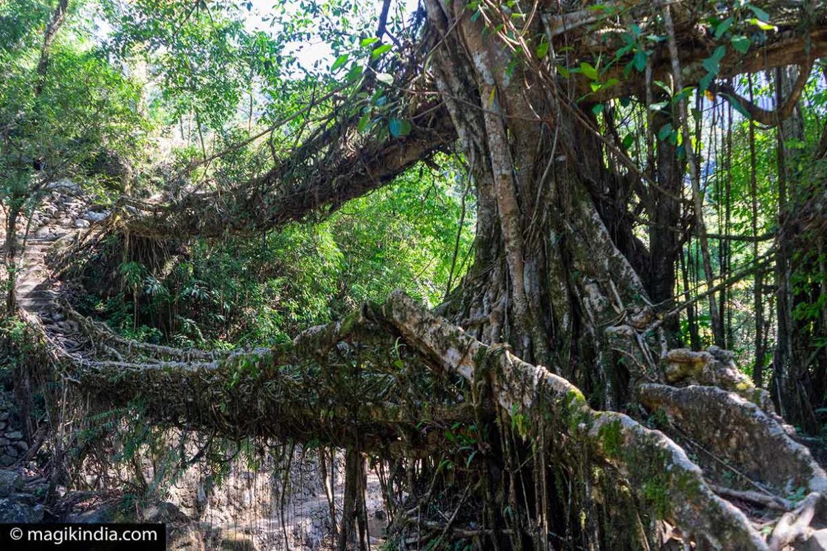 Meghalaya, abode of clouds and waterfalls - MAGIK INDIA