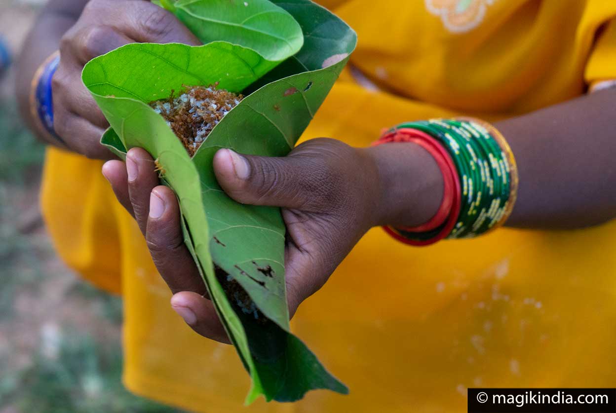Bastar, the tribal region of Chhattisgarh - MAGIK INDIA