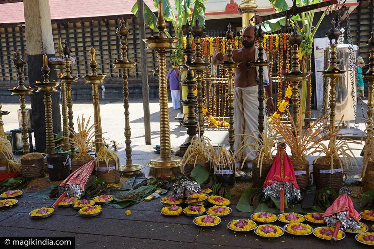 Aranmula et sa fascinante course de bateaux-serpents - MAGIK INDIA
