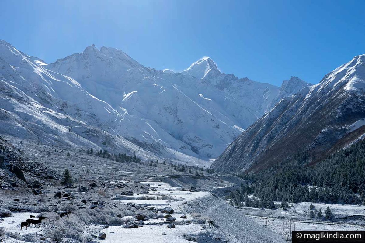 Kinnaur Valley, a hidden gem in Himachal Pradesh - MAGIK INDIA