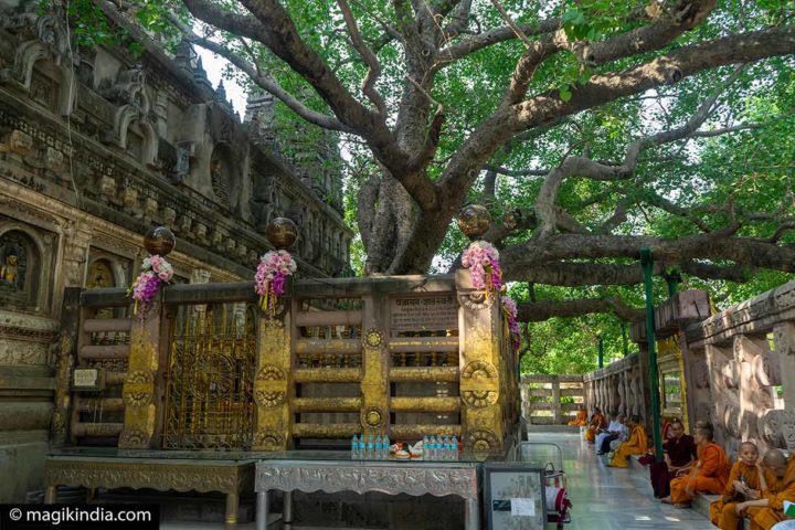 Bodhgaya, the land of Buddha’s Enlightenment - MAGIK INDIA