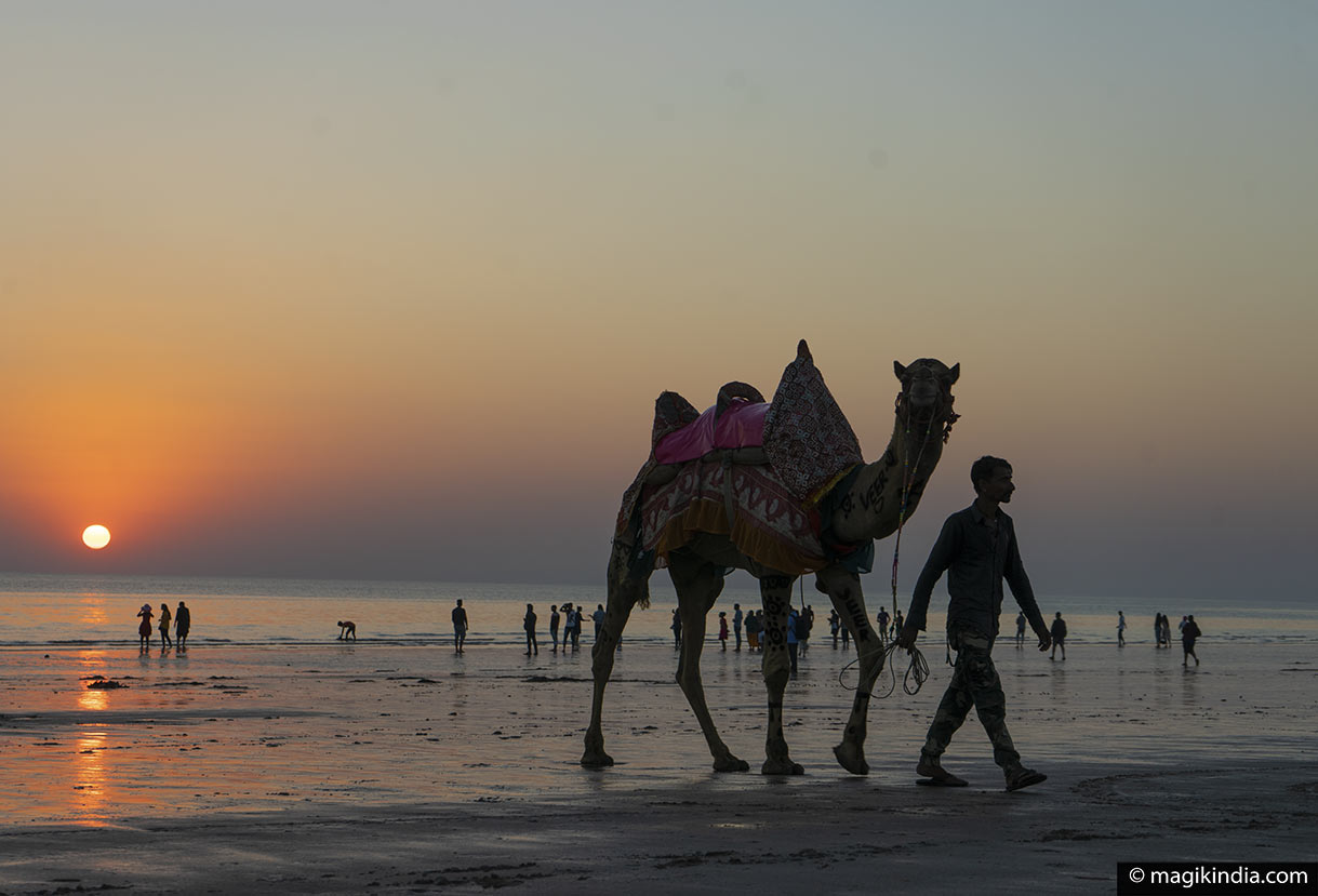 Mandvi, the sea at the end of the Kutch journey - MAGIK INDIA