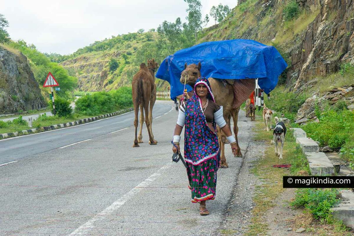 Rabari people, those who follow their own path - MAGIK INDIA