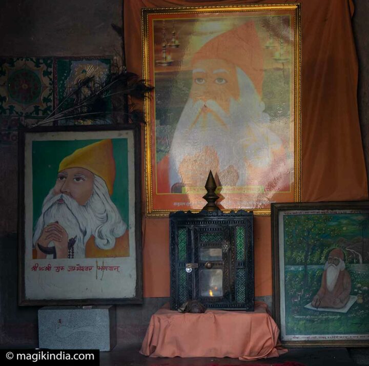 Bishnoi people, India's first environmentalists - MAGIK INDIA