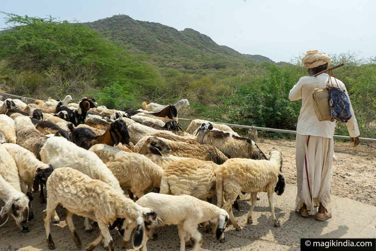 Than Jagir, the monastery of Kanphata yogis - MAGIK INDIA