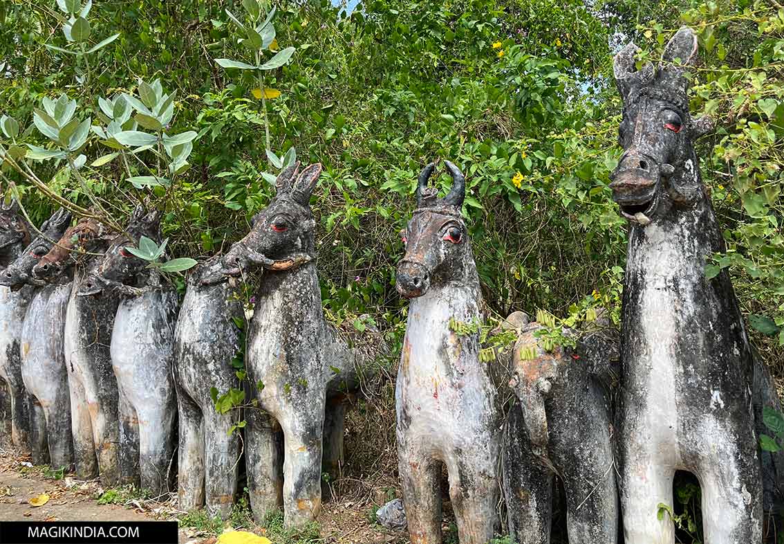 Ayyanar, les temples ruraux du Tamil Nadu - MAGIK INDIA