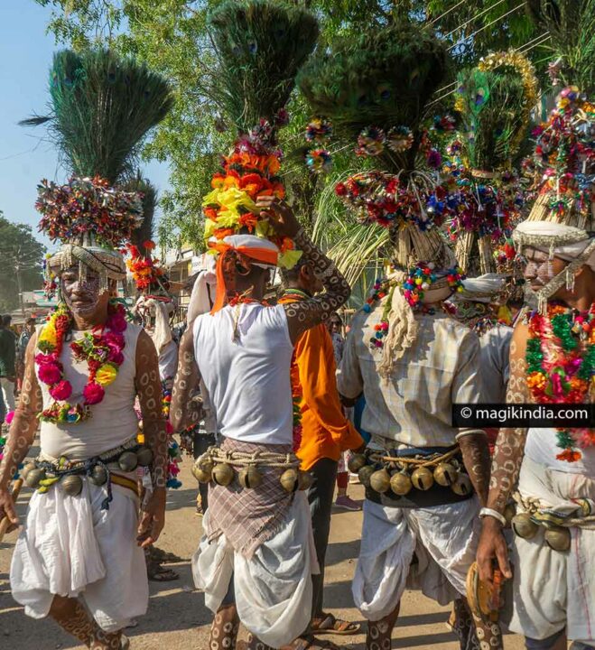 Kavant Fair, the harvest festival of the Rathwas - MAGIK INDIA