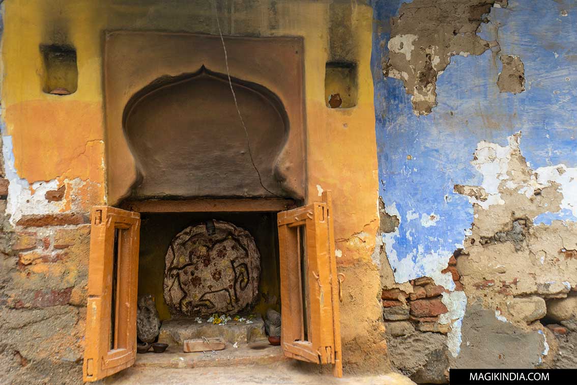 Ghanerao, royal heritage and rural traditions - MAGIK INDIA