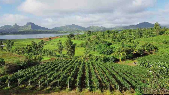 Nasik, temples and vineyards - MAGIK INDIA