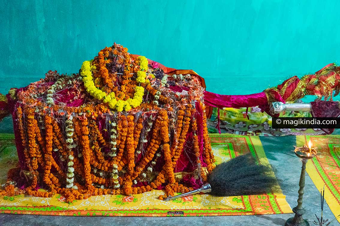 Phagun Madai, the spring festival of the adivasis of Bastar - MAGIK INDIA