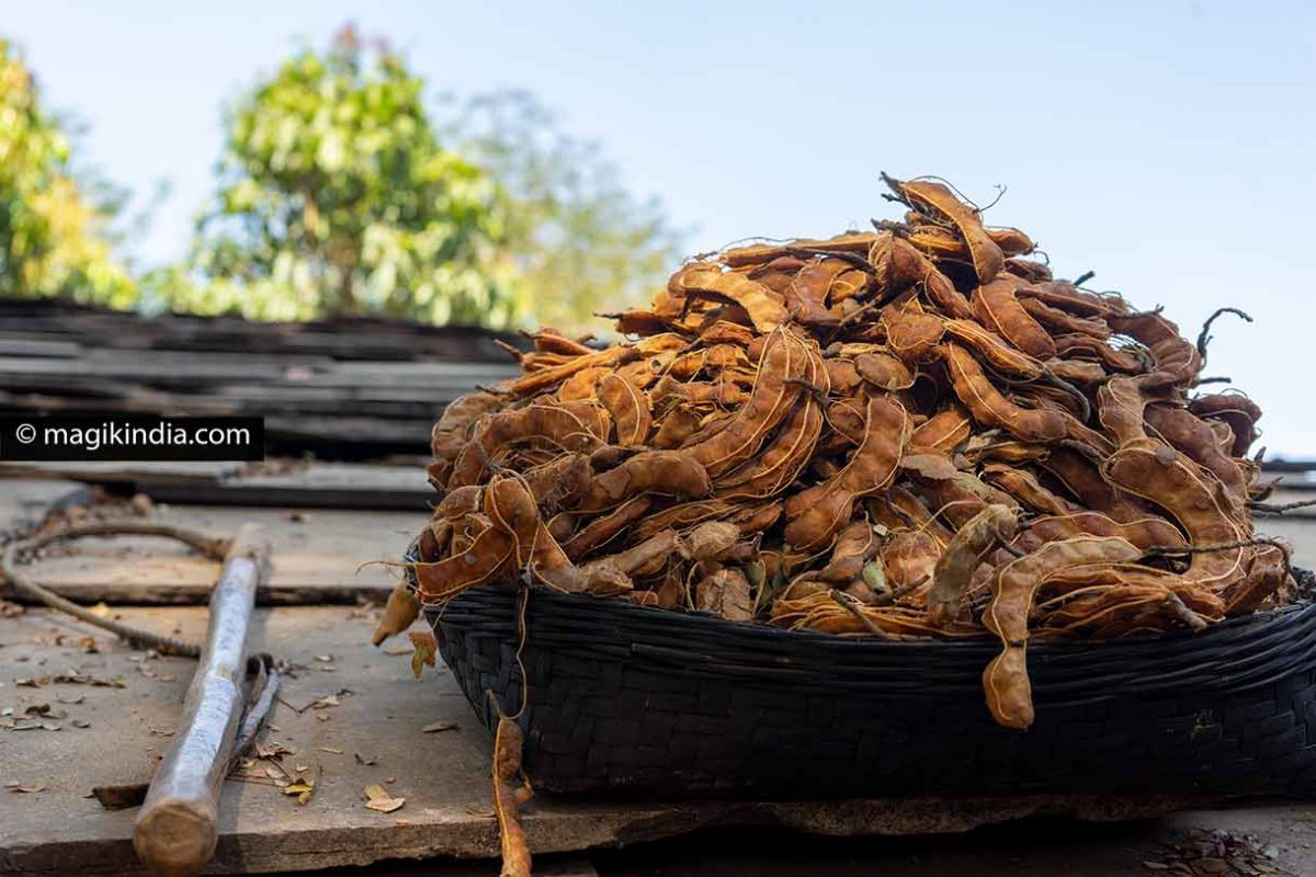 My stay with the Dhurwa, Chhattisgarh - MAGIK INDIA